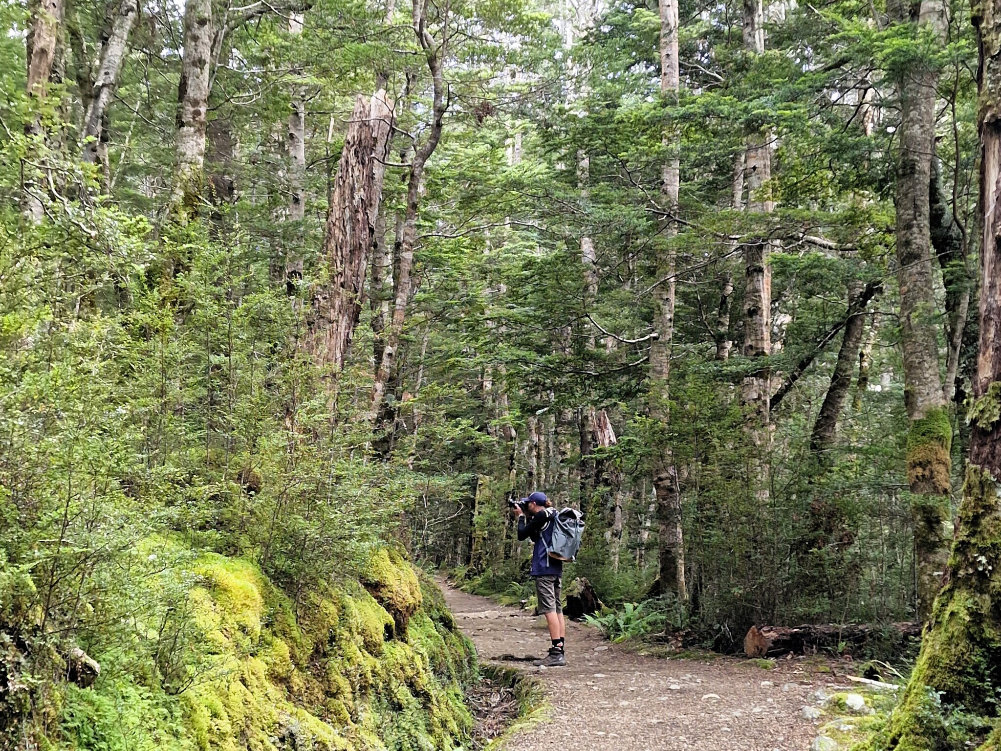 Kepler Track to Luxmore Hut: Ultimate Day Hike Guide (2025)